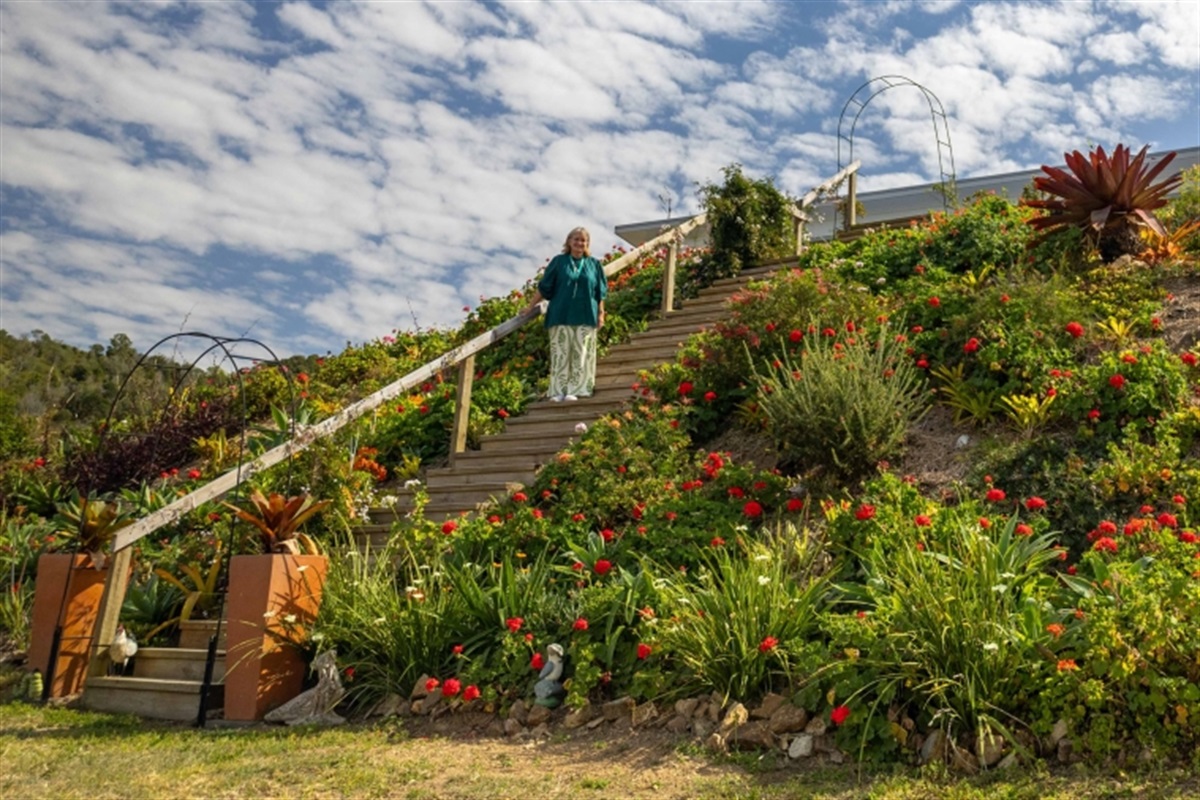 Gates open for Somerset’s best gardens | Somerset Regional Council